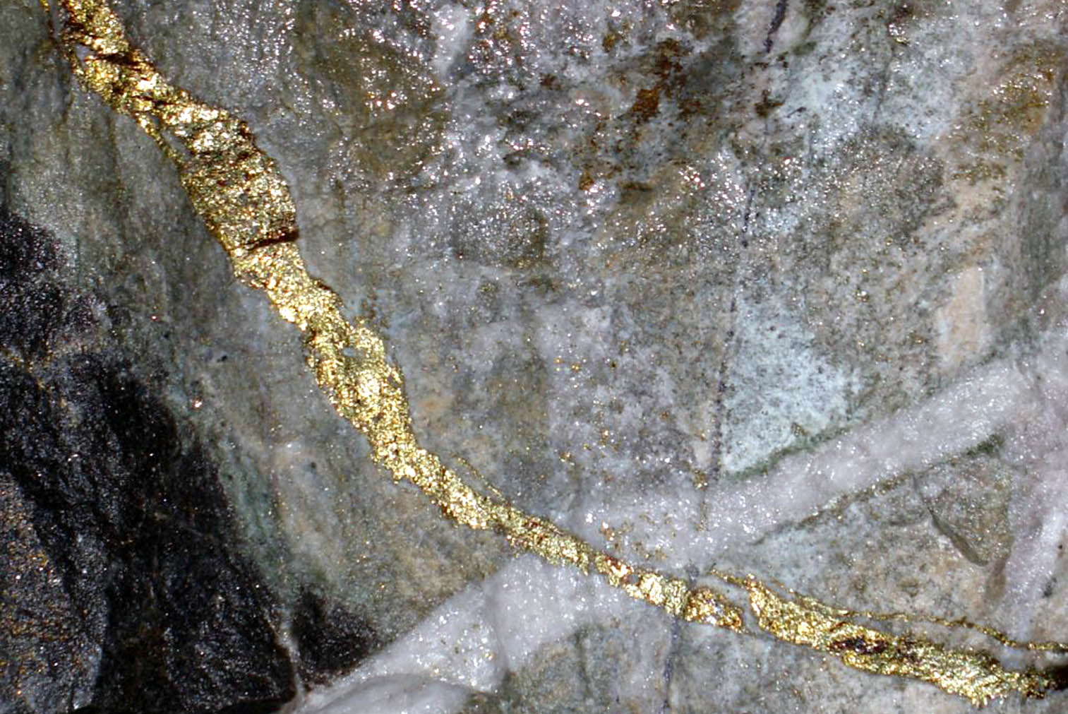 Stringer_01 – BC Gold Adventures