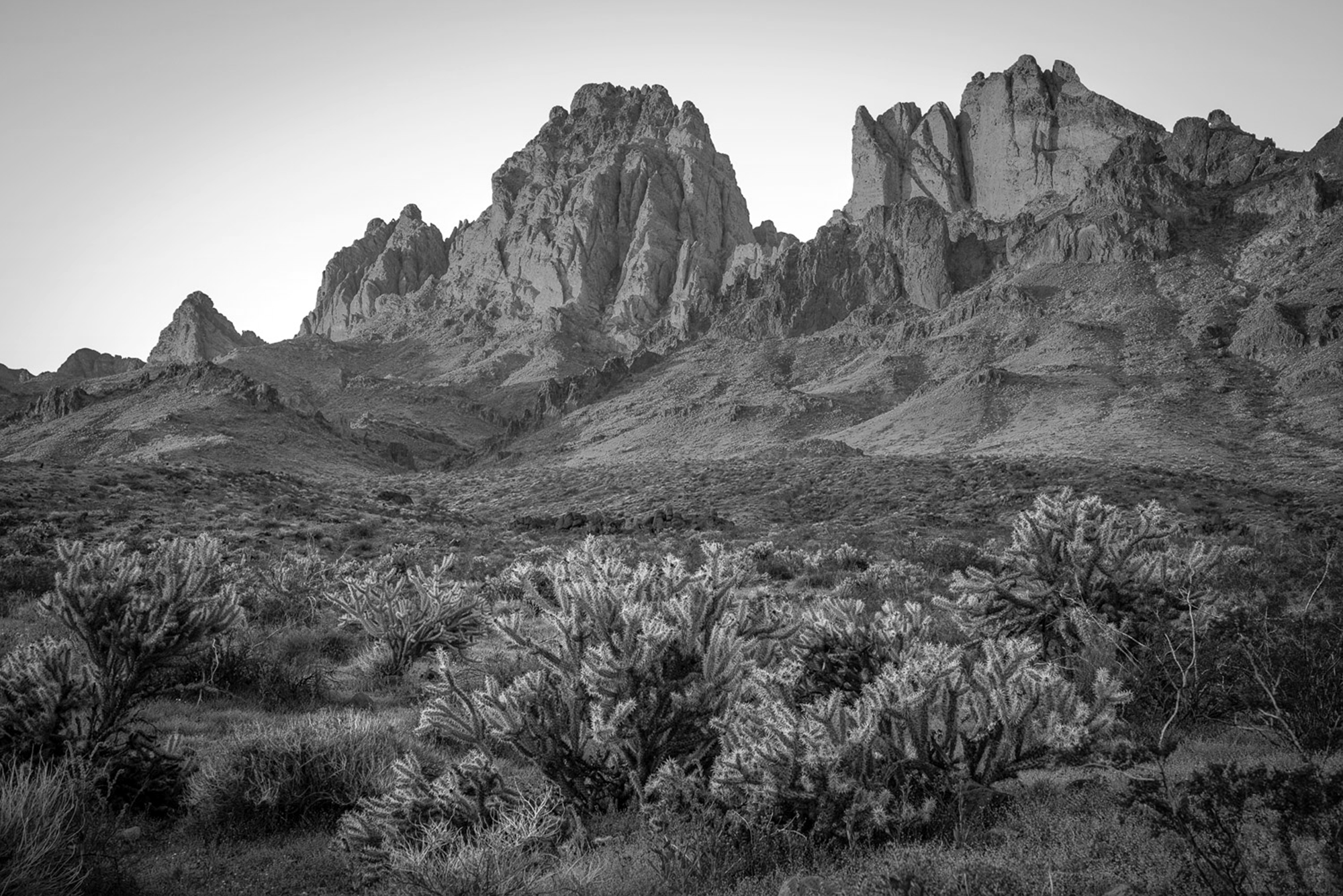 Turtle Mountains Morning – BC Gold Adventures
